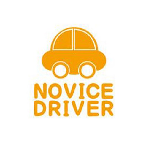 카티커 NOVICE DRIVER 2 L 437, 옐로우, 1개 - 가격 변동 추적 그래프 - 역대가