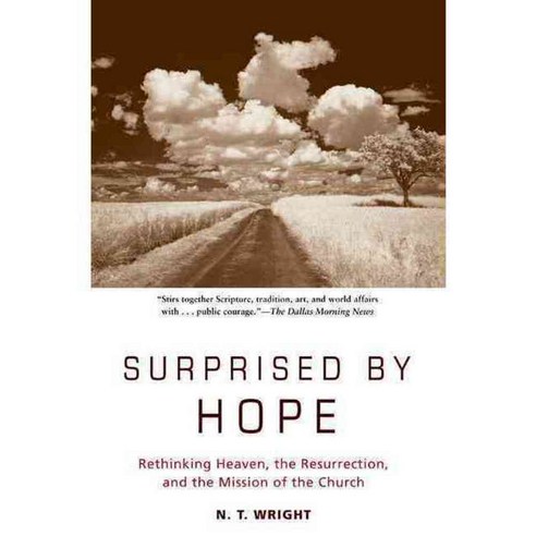 Surprised by Hope: Rethinking Heaven the Resurrection and the Mission ...