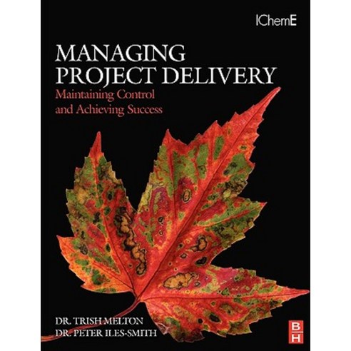 Managing Project Delivery: Maintaining Control and Achieving Success ...