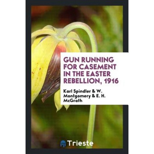Gun Running for Casement in the Easter Rebellion 1916 Paperback ...