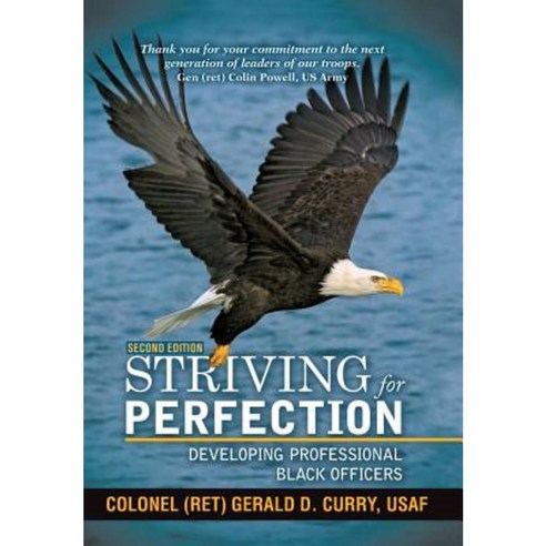 Striving for Perfection: Developing Professional Black Officers ...