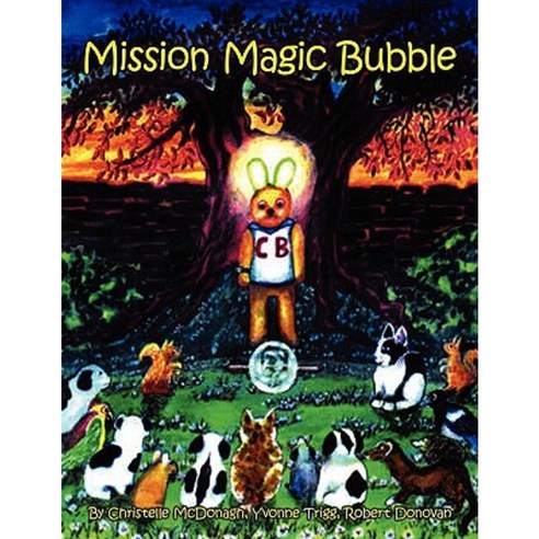 Mission Magic Bubble Paperback, Authorhouse - 가격 변동 추적 그래프 - 역대가
