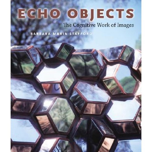 Echo Objects: The Cognitive Work of Images Hardcover, University of ...
