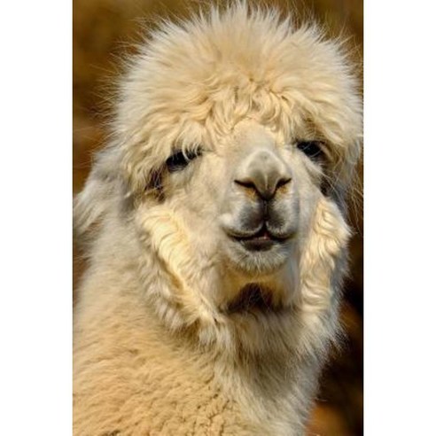 An Smug Cream Colored Llama Portrait Journal: 150 Page Lined Notebook ...