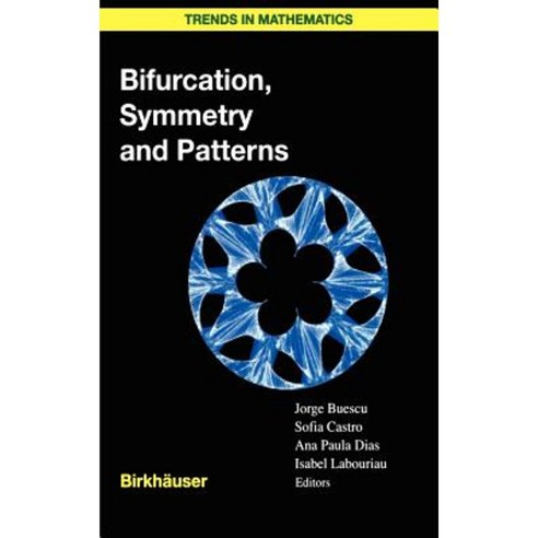Bifurcation Symmetry and Patterns Hardcover, Birkhauser - 가격 변동 추적 그래프 ...