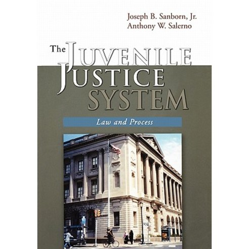 The Juvenile Justice System: Law and Process Paperback, Oxford ...