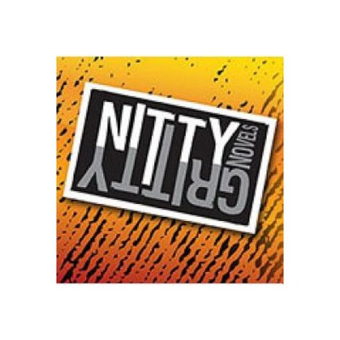 Rigby Nitty Gritty Novels: Teacher''s Guide Intervention Silver the ...