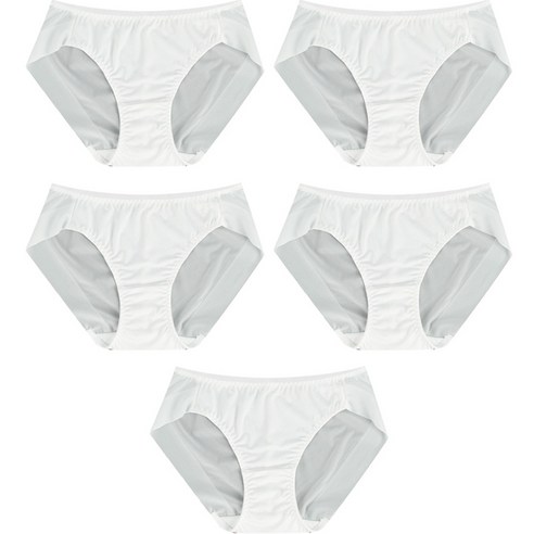 '도씨 여성용 노라인 햄 팬티 5p' 최저가 검색, 최저가 14,900원 - 할인 알림