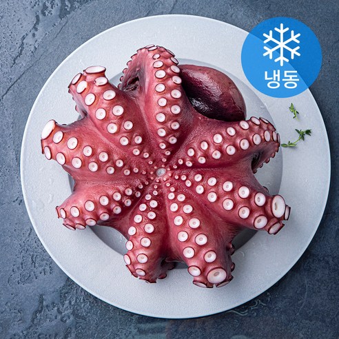 고마워 데친문어 (냉동), 1.05kg, 1개 - 가격 변동 추적 그래프 - 역대가