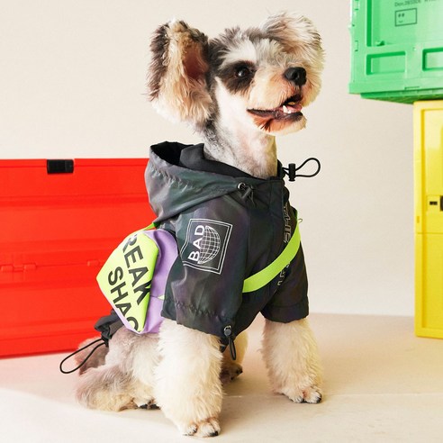 MING Dog Cat Shining Hood 擋風玻璃 酷澎 - 天天低價，你的日常所需都在酷澎