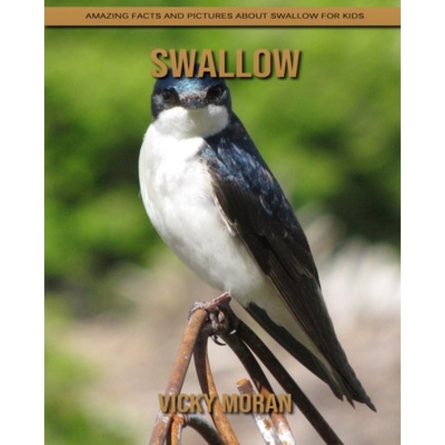 Swallow: Amazing Facts and Pictures about Swallow for Kids Paperback ...