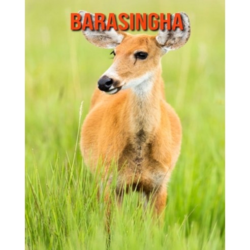 Barasingha: Amazing Facts & Pictures Paperback, Independently Published ...