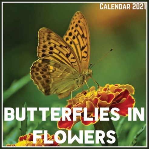 Butterflies In Flowers Calendar 2021: Official Butterflies In Flowers ...