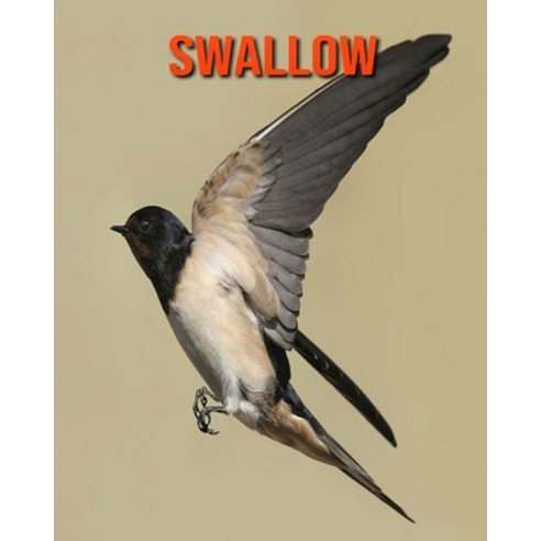 Swallow: Fun Facts & Cool Pictures Paperback, Independently Published ...