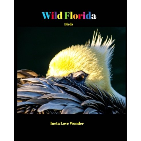 (영문도서) Wild Florida: Birds Paperback, Blurb, English, 9798211709690 ...
