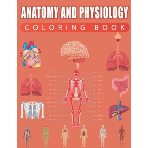 Anatomy and Physiology Coloring Book Paperback, Independently Published ...