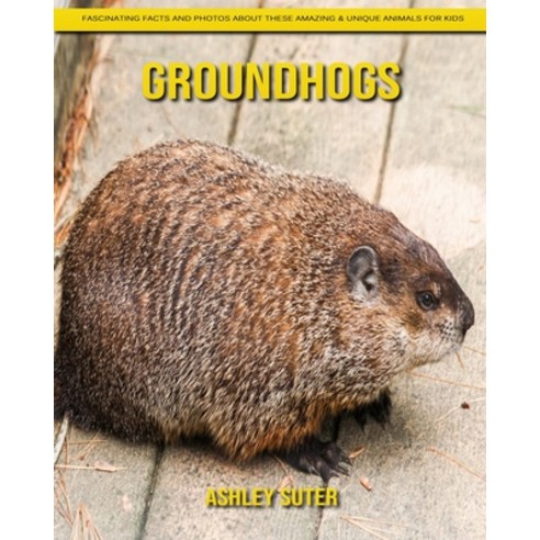 Groundhogs: Fascinating Facts and Photos about These Amazing & Unique ...