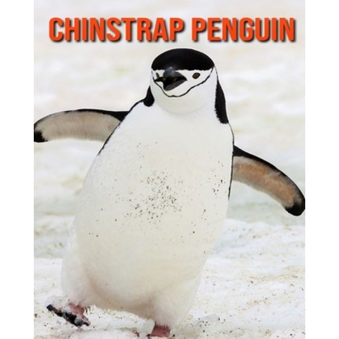 (영문도서) Chinstrap Penguin: Amazing Facts & Pictures Paperback ...