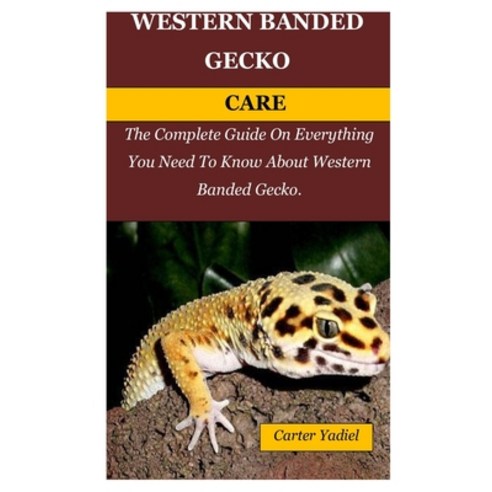 Western Banded Gecko Care: The Complete Guide On Everything You Need To ...