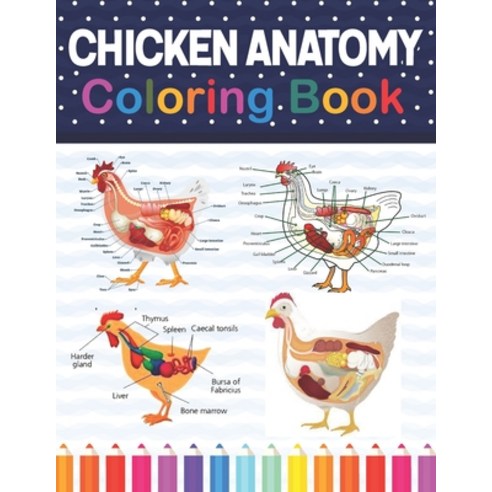 Chicken Anatomy Coloring Book: Chicken Anatomy and Veterinary ...