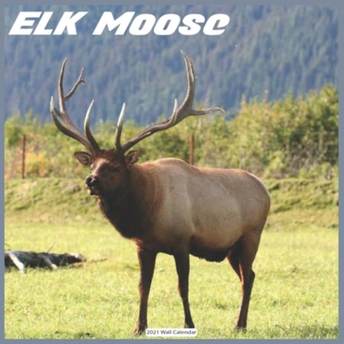 ELK Moose 2021 Wall Calendar: Official ELK Moose Calendar 2021 ...