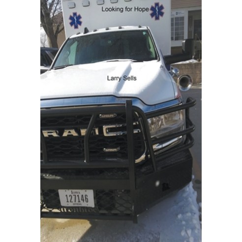 (영문도서) Looking for Hope Paperback, Larry Sells, English, 9798215632017 ...