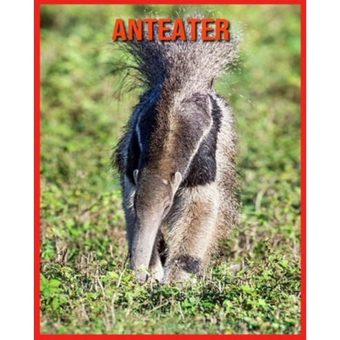 Anteater: Amazing Photos & Fun Facts Book About Anteater For Kids ...
