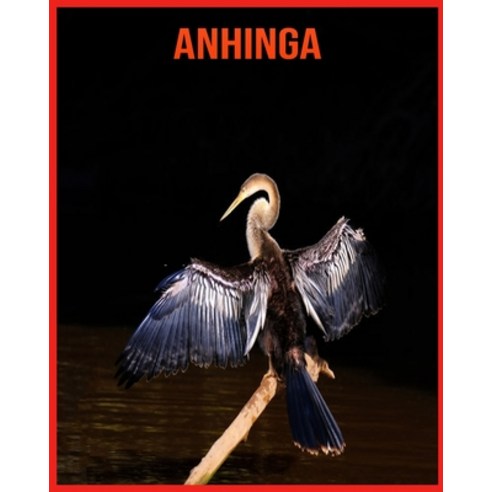 Anhinga: Fun Learning Facts About Anhinga Paperback, Independently ...