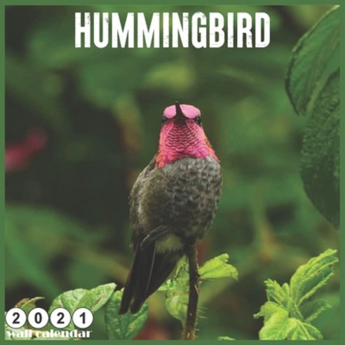 Hummingbird 2021 Wall Calendar: Official Hummingbird Calendar 18 Months ...