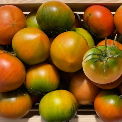 '대저토마토 짭짤이 짭짜리 로얄사이즈 소과 L과, 2.5kg (2S-..., 1박스' 최저가 검색, 최저가 38,800원 - 할인 알림