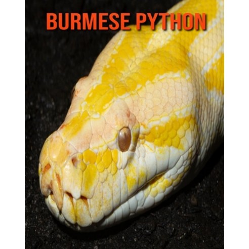 Burmese Python: Beautiful Pictures & Interesting Facts Children Book ...