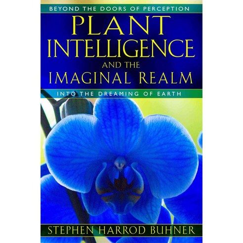 Plant Intelligence and the Imaginal Realm: Beyond the Doors of ...