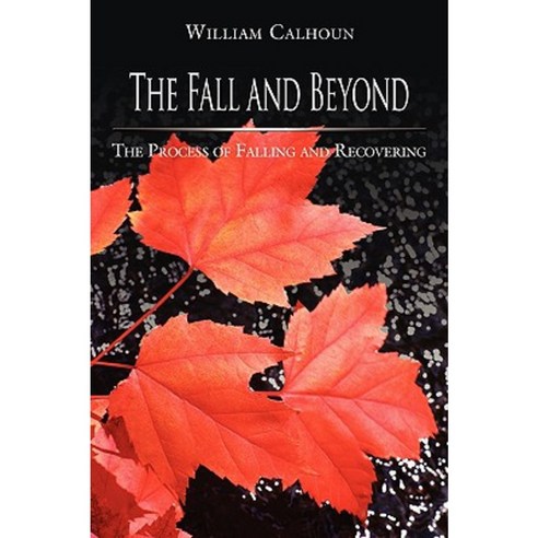 The Fall and Beyond: The Process of Falling and Recovering Paperback ...