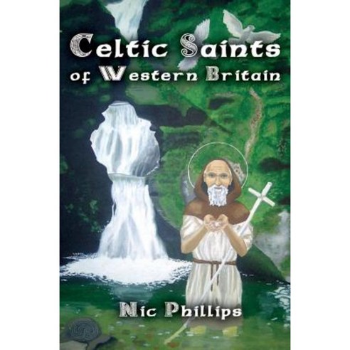 Celtic Saints of Western Britain Hardcover, Avalonia - 가격 변동 추적 그래프 - 역대가