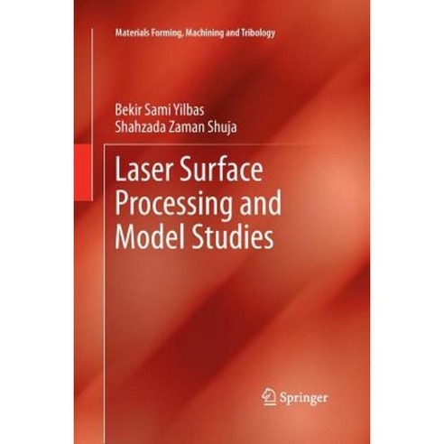 Laser Surface Processing and Model Studies Paperback, Springer - 가격 변동 추적 그래프