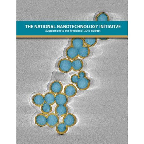 The National Nanotechnology Initiative: Supplement to the President''s 2015 Bud