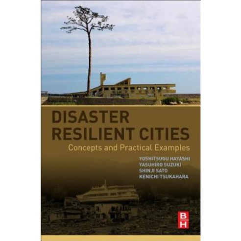 Disaster Resilient Cities: Concepts and Practical Examples Paperback ...