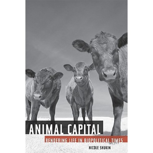 Animal Capital Paperback, Univ of Chicago Behalf of Minnesota Univ Pres ...