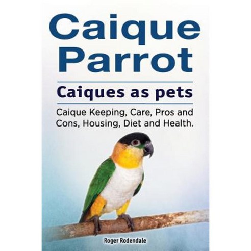 Caique Parrot. Caiques as Pets. Caique Keeping Care Pros and Cons Housing Diet