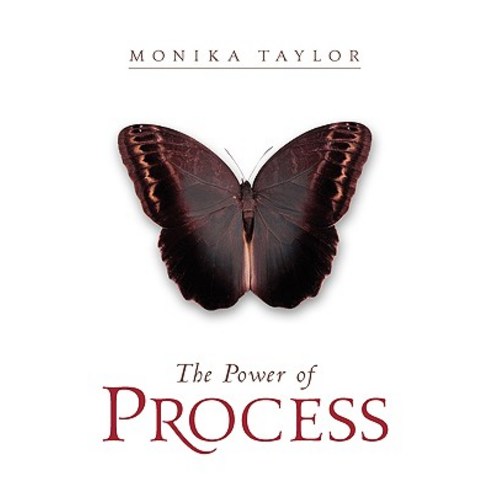 The Power of Process Paperback, Xulon Press - 가격 변동 추적 그래프 - 역대가