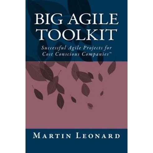 Big Agile Toolkit: Successful Agile Projects for Cost Conscious ...