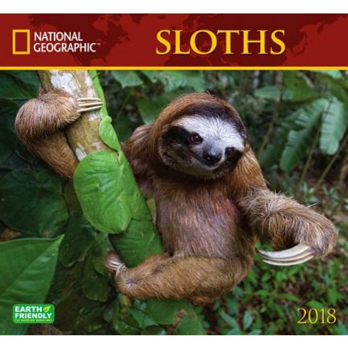 National Geographic Sloths 2018 Wall Calendar Wall, Zebra Publishing ...