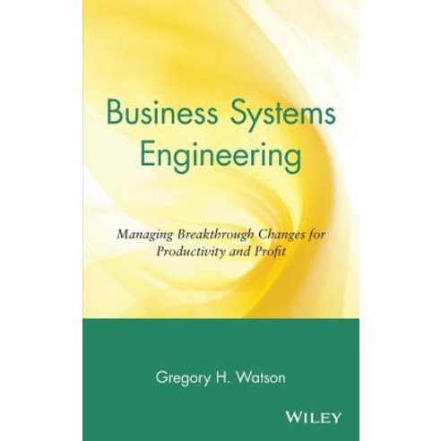 Business Systems Engineering: Managing Breakthrough Changes for ...