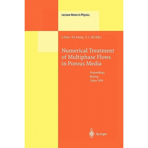 Numerical Treatment of Multiphase Flows in Porous Media: Proceedings of ...