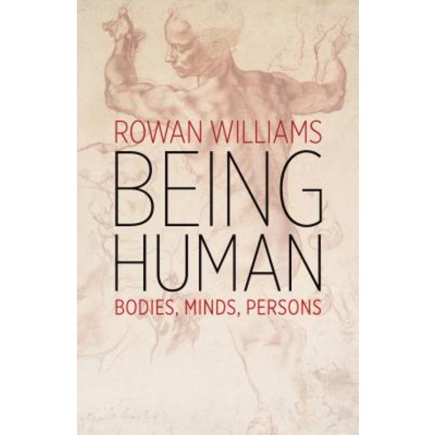 Being Human: Bodies Minds Persons Paperback, William B. Eerdmans ...