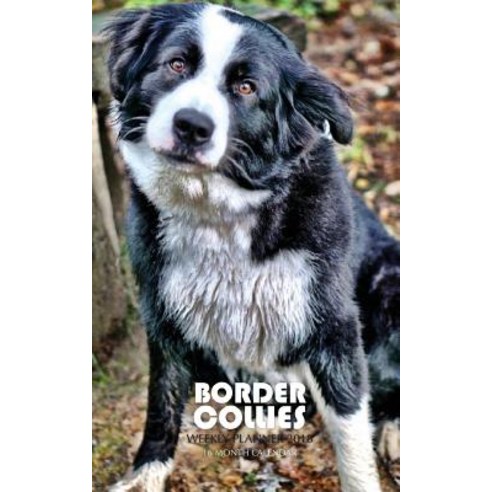 Border Collies Weekly Planner 2018: 16 Month Calendar Paperback ...